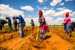 Blog - Kaimara Studio